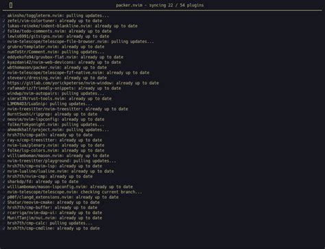 Packer Stuck Indefinitely When Trying To Sync Rneovim