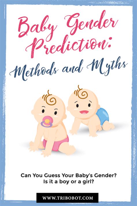 Ultrasound Gender Prediction Artofit