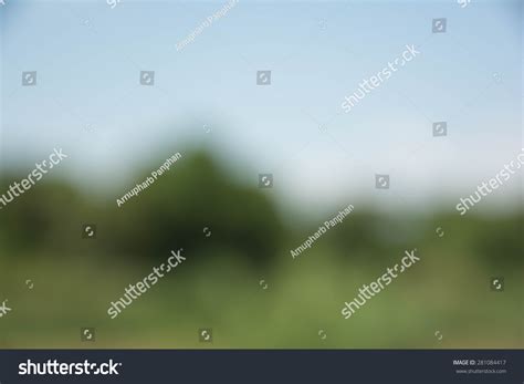 Blur Natural Tree Texture Background Stock Photo 281084417 Shutterstock