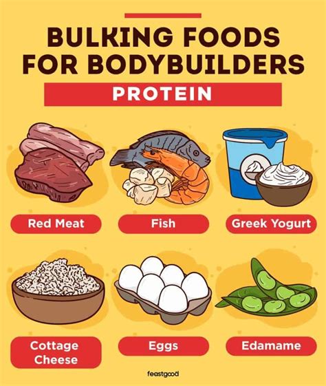 High Protein Diet Foods Bodybuilding At Phoebe Reddall Blog