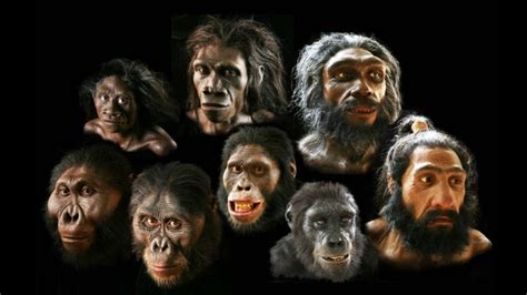 선사시대 동굴벽화와 바위그림의 종류와 특징 네이버 블로그