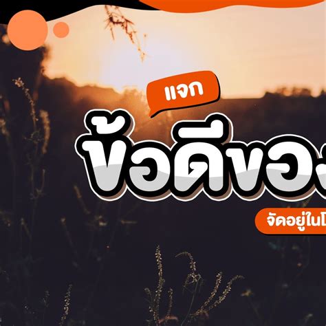 Sale Here ชมพูตุ่นน่ารักสุดๆ ไปเลอออ 📌 ลานโปรโมชั่น เมกาบางนา ชั้น 1 📆 วันที่ 20 เม ย 1