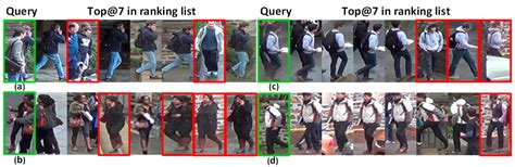 dual branch attention network for person re identification