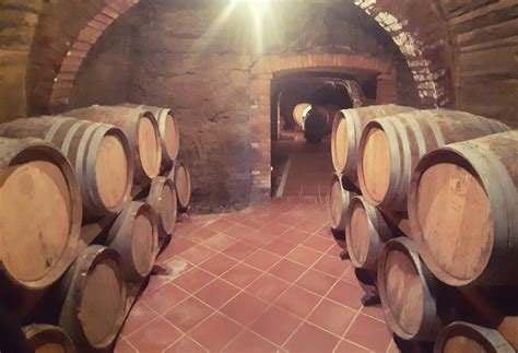 Azienda Agricola Colle Santa Mustiola Bellezza Ed Eleganza Infinita