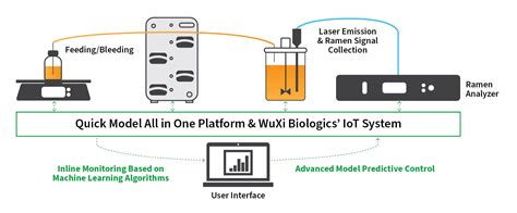 biologic process development scale up