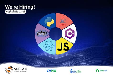 Mohammad Reza Saeedabadi On Linkedin Php Java Python Javascript