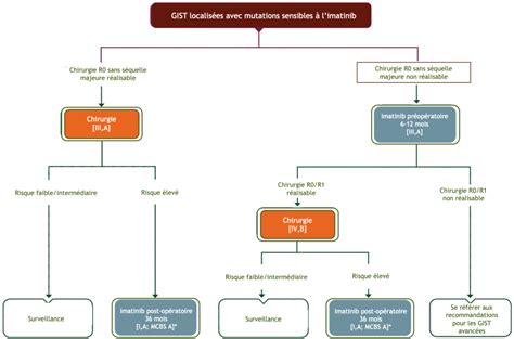 Gist Recommandations Européennes Info Sarcomes