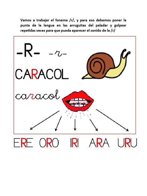 Fonema R Pdf Lengua Boca
