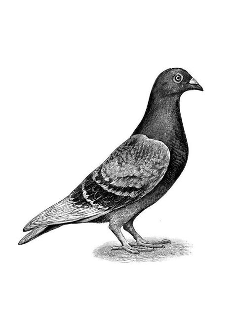 About Ben Liddle Medium