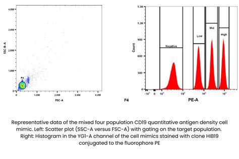 Trucytes™ Cd19 Quantitative Antigen Density Slingshot Bio