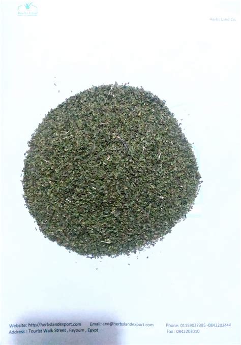 SPEARMINT | HERBS LAND