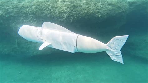 Meet The Robotic Fish That Collects DNA From The Bottom Of The Ocean World Stock Market