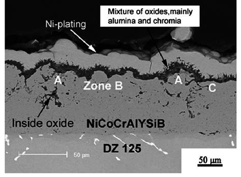 Cross Sectional Microstructure Of 5 Coating After 5 H Isothermal