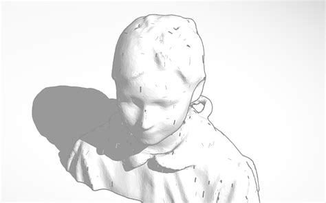 3d Design D Scan Tinkercad