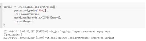 Save The Fine Tuning Model Issue Google Research Vision Transformer GitHub