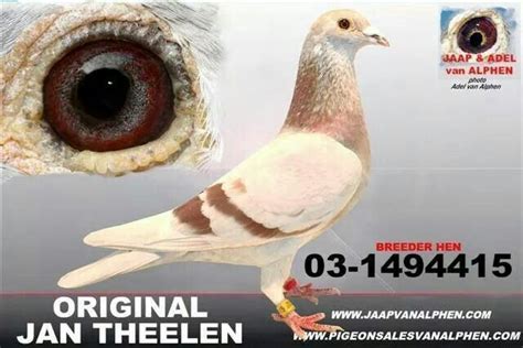 Jan Th Carreras Escuadron