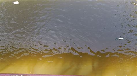 Tud Gv Semantic Segmentation Dataset By Shibaura