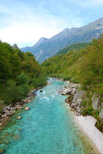 영국 Korita 또는 Soca 캐년 강 보베 츠 슬로베니아 숲 협곡을 통해 실행 아름 다운 선명한 청록색 강 스트림 급류 Soca 강 Triglav 국립 공원 줄리안
