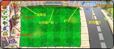 html实现植物大战僵尸（游戏截图 动态演示 源码分享） 植物大战僵尸源码 csdn博客