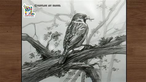 Pencil Sketching And Shading Sparrow Bird Step By Step Art How To Dra Pencil Sketch
