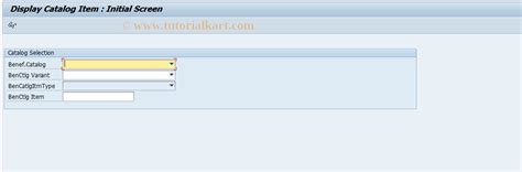 ICLSCT03 SAP Tcode Display Catalog Item Transaction Code