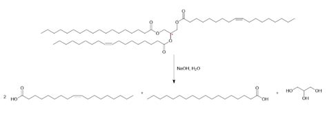 Draw The Structure Of An Optically Active Triglyceride Conta Quizlet