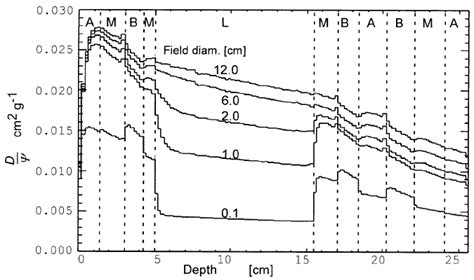 Central Axis Depth Dose Curves Calculated With The Monte Carlo Method