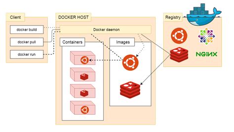 Docker安装与测试 及 安装docker Compose 落楝花 博客园