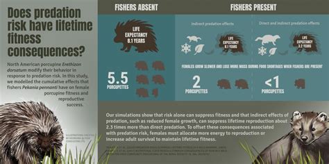 Citizen Science Shows How Predation Risk Effects Can Reduce Lifetime