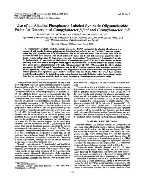 Pdf Use Of An Alkaline Phosphatase Labeled Synthetic Oligonucleotide Probe For Detection Of