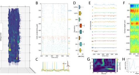 New Paper In Neural Computation Dura Bernal Lab