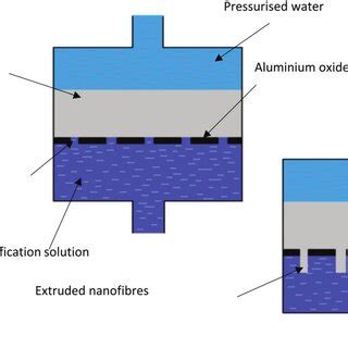 Template Synthesis Process Download Scientific Diagram