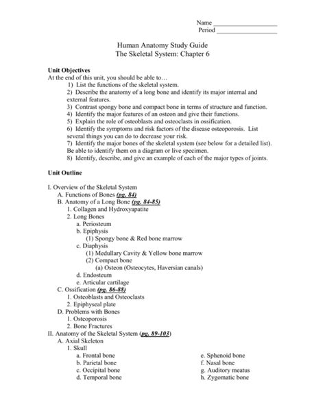 Skeletal System Study Guide Anatomy Physiology