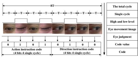 binary encoding and human eye action instruction download scientific