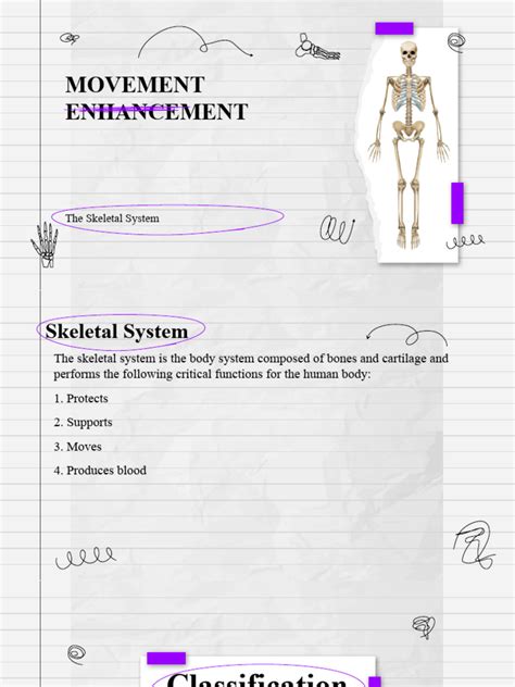skeletal pdf anatomical terms of motion skeletal muscle