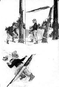 ETool Logging Manual Operations Felling Trees Potential Hazards Occupational Safety