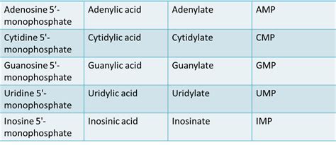 Nomenclature Of Nucleosides