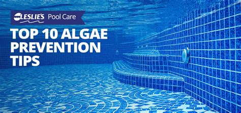 What Is The Best Practice To Prevent Algae Growth