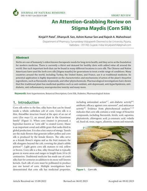 Pdf An Attention Grabbing Review On Stigma Maydis Corn Silk