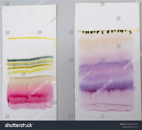 Result Thin Layer Chromatography Laboratory Stock Photo 2286411709 Shutterstock