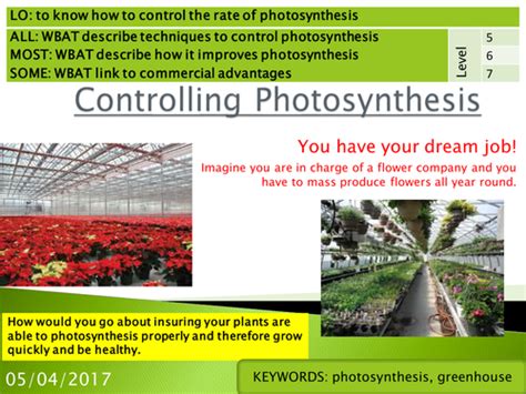 Aqa Combined Science Trilogy 4 4 Bioenergetics Teaching Resources