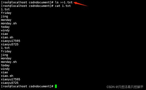 linux的常见命令（初学） ls 上一条命令的结果快捷键 csdn博客