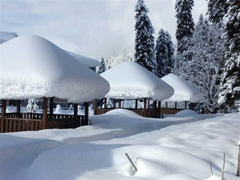 ძველთ ახალი წელი რაჭაში 0 Gel ჯეორჯიკა ვოიაჟი