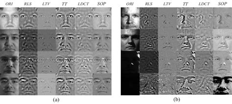 illumination preprocessing using different approaches is performed on