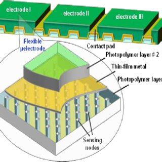 Schematic Of The Flexible Microelectrode Design Download Scientific Diagram