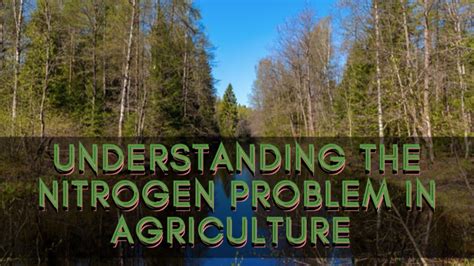 Understanding The Nitrogen Problem In Agriculture