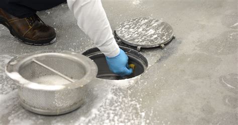 Corrective Action Plans For Monitoring Zosi Learning