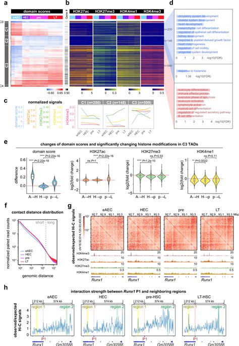Mapping Developmental Dynamics Of Intra Tad Connectivity And Chromatin