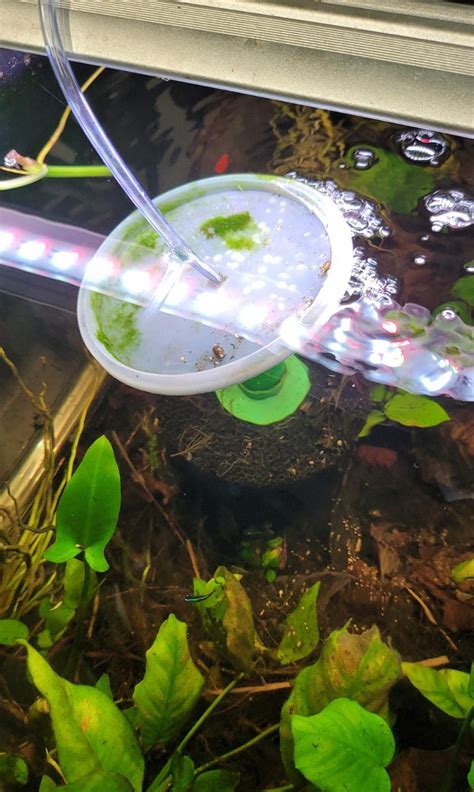 A Lower Tech Method Of Reducing Splashing And Surface Agitation You