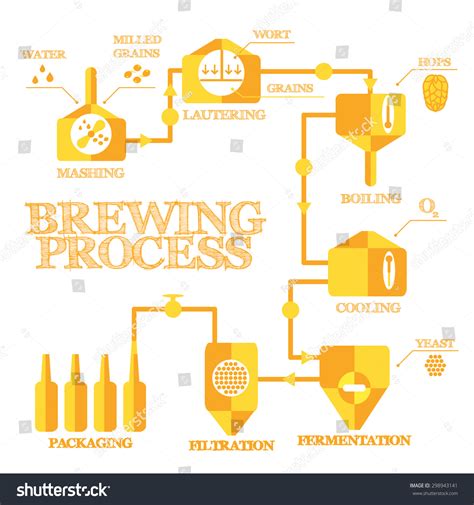 The Beer Brewing Process At Isla Lampungmeiua Blog